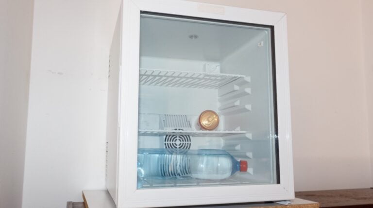 5 Best Mini Fridge With Glass Doors (Reviews And Buying Guide)